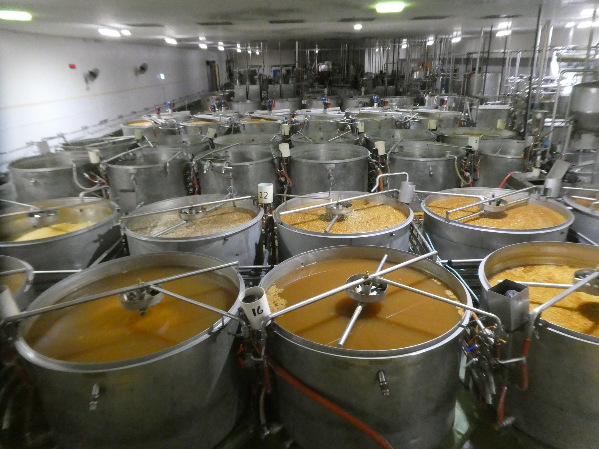 Social Events Gallery – U3A Redcliffe Inc.