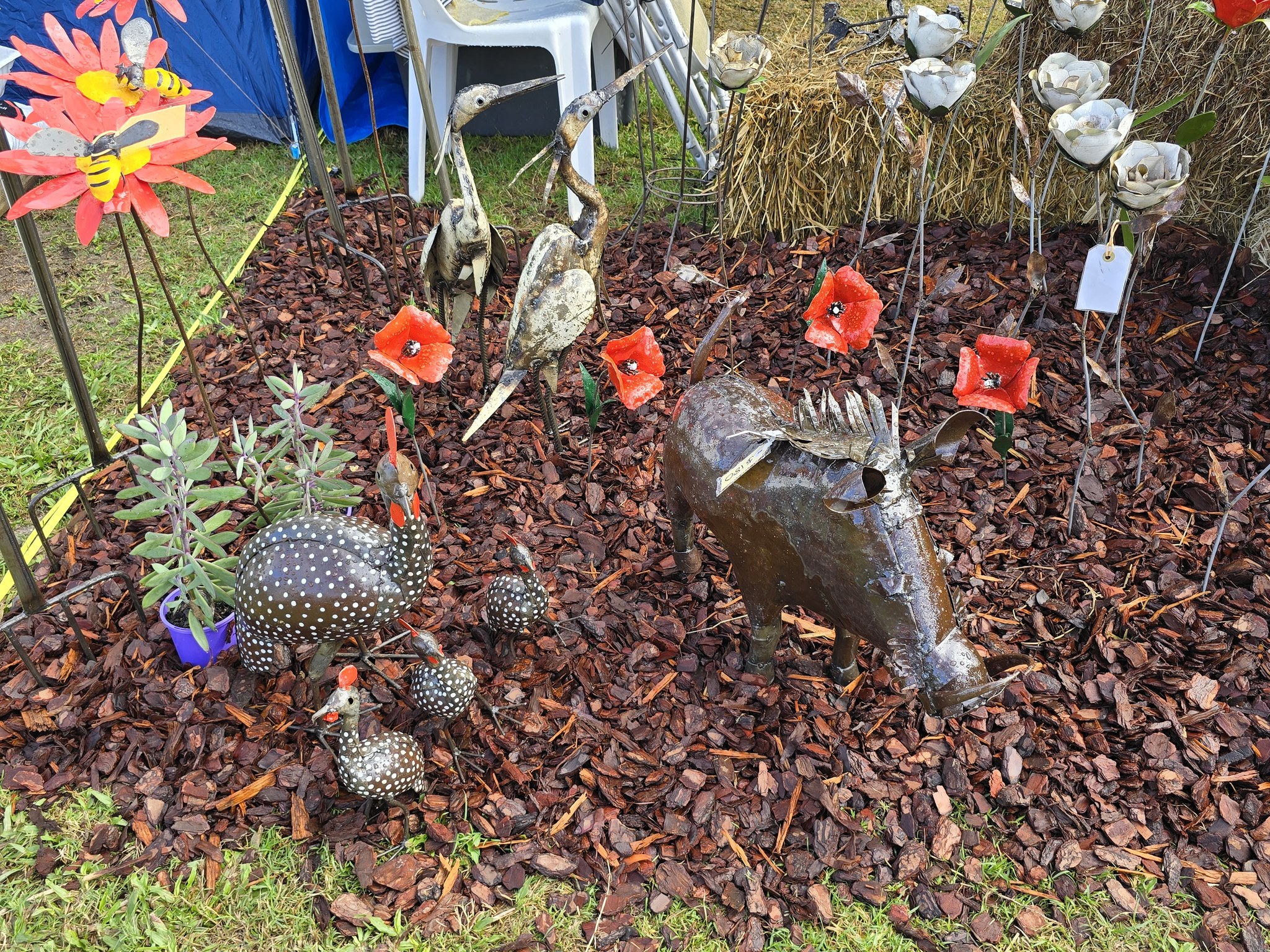 Social Events Gallery – U3A Redcliffe Inc.