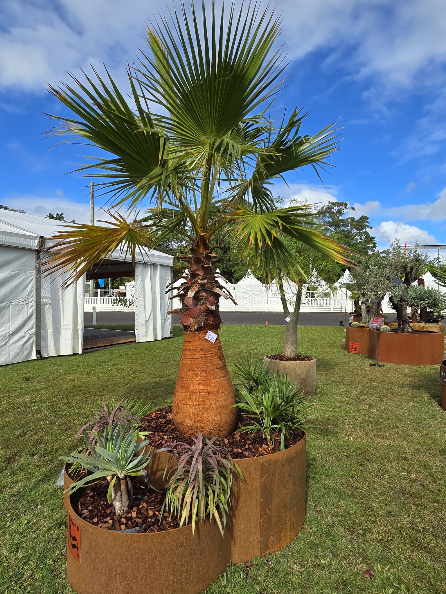 Social Events Gallery – U3A Redcliffe Inc.