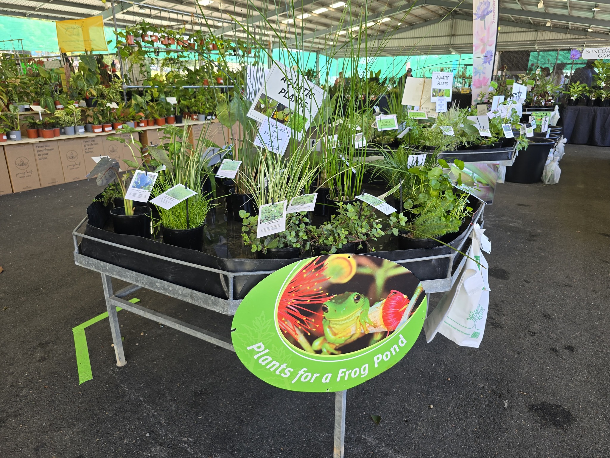 Social Events Gallery – U3A Redcliffe Inc.